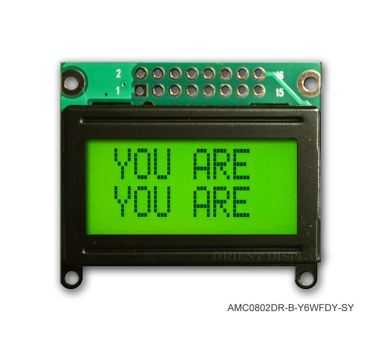 AMC0802DR-B-Y6WFDY (8×2 Character LCD Module) | Orient Display