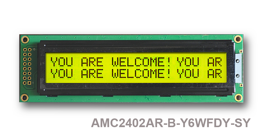 AMC2402AR-B-Y6WFDY (24x2 Character LCD Module) | Orient Display